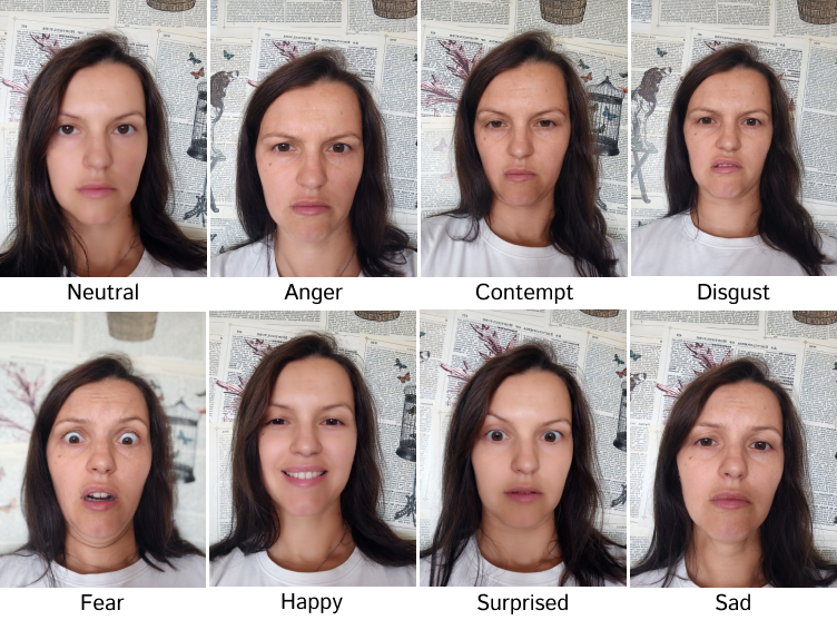 UniqueData/facial-emotion-recognition-dataset · Datasets at Hugging Face